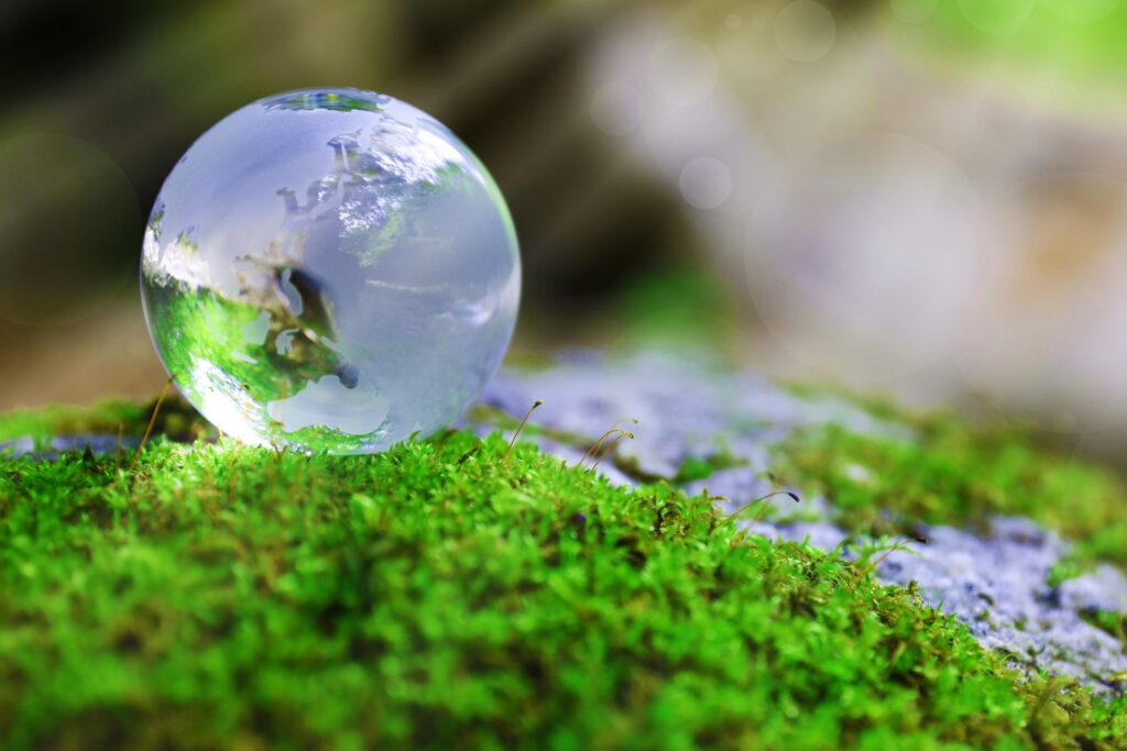 免疫の「暴走】を防ぐブレーキ役！坂口志文教授が発見した制御性T細胞とは？【2025年ノーベル賞受賞】 - slabo